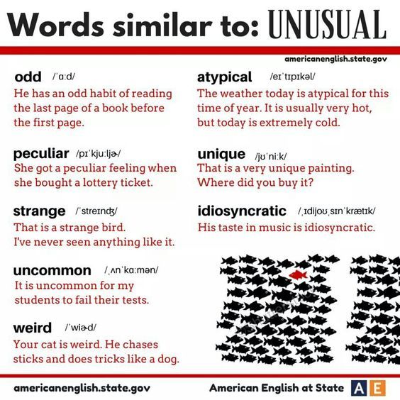 CEPT Practice: Words similar to (part 2)