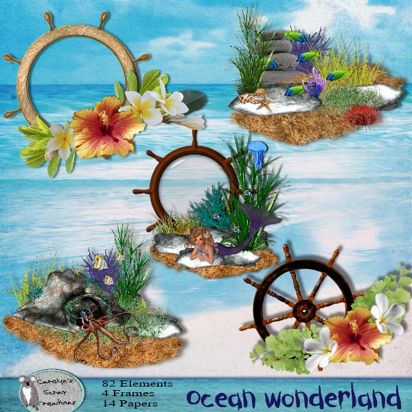 Lindsay's Ramblings: Ocean wonderland