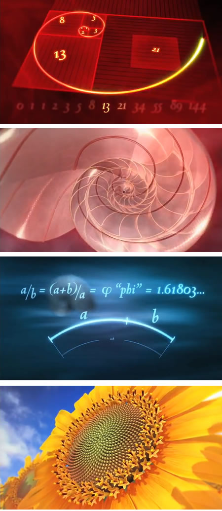 Enredada en la Red: Nature by Numbers, de Cristóbal Vila