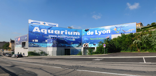 L'aquarium de Lyon - Visiter Lyon - Tourisme et actualités