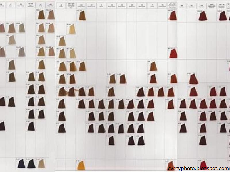 Краска Для Волос Индола Фото — Картинки фотографии