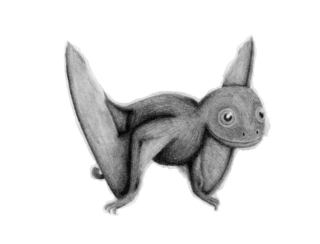 Sounder Art: Anurognathus ammoni