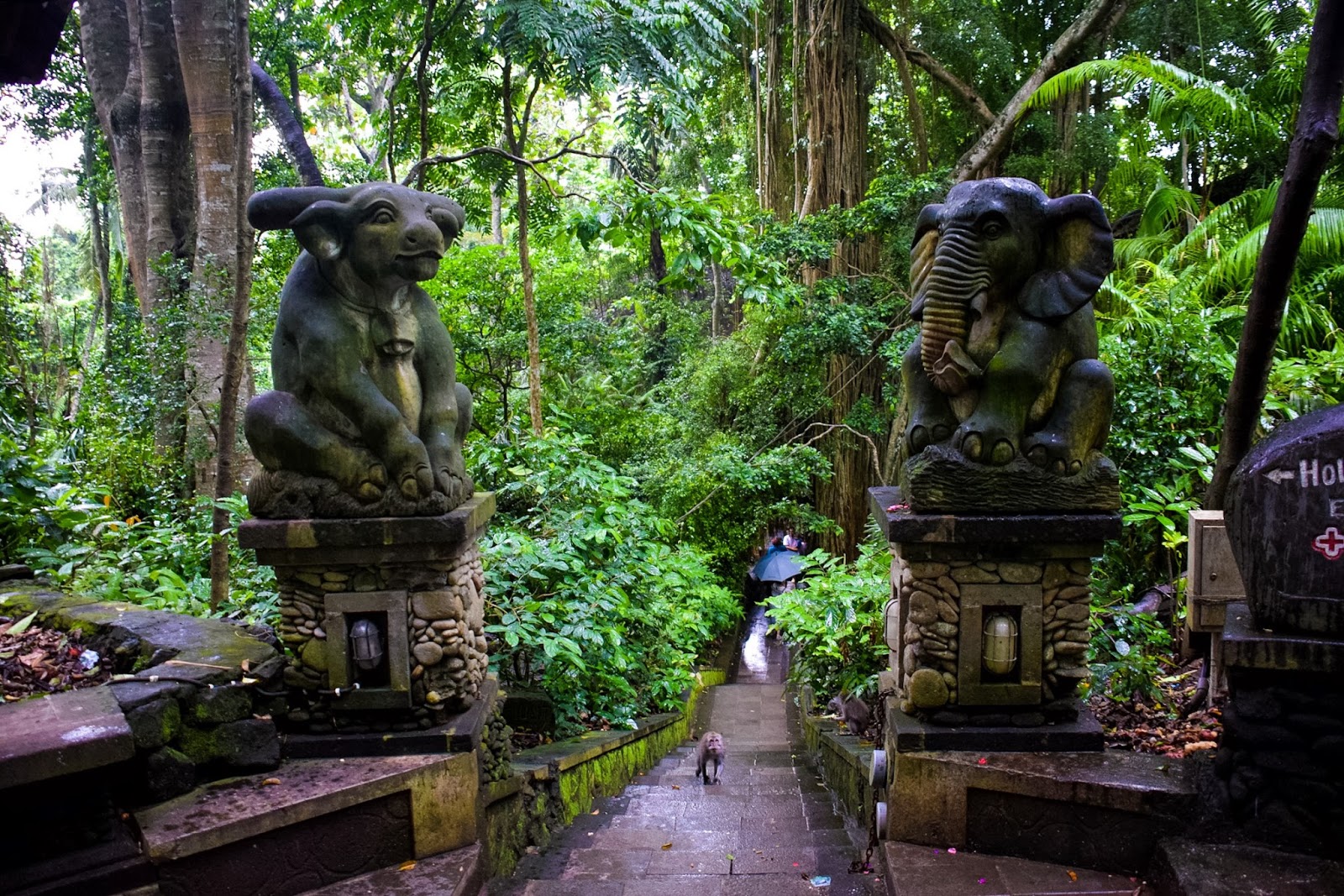 Sacred Monkey Forest, Ubud | Explore Shaw