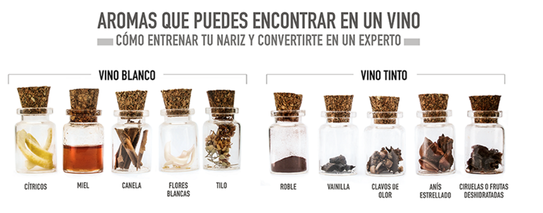 Anatomía Aplicada: TIPOS DE OLORES