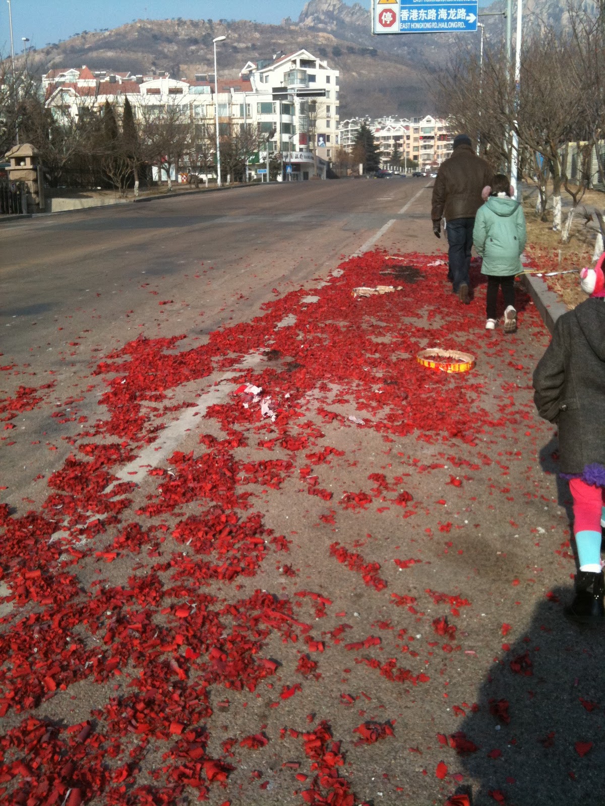 The Road Less Traveled: Chun Jie Kuai Le! 春节快乐!