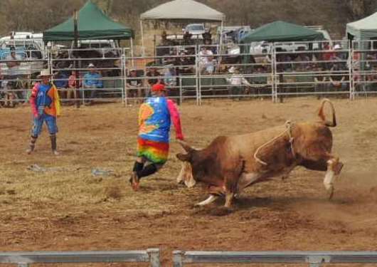 Ron & Anne's adventure: Bulls, dust and broken bones