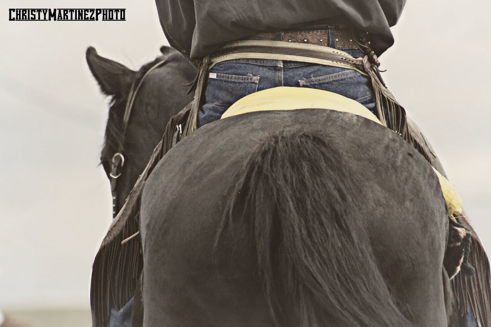 Pony Riding By: Weekend in Photos: Honest Horses