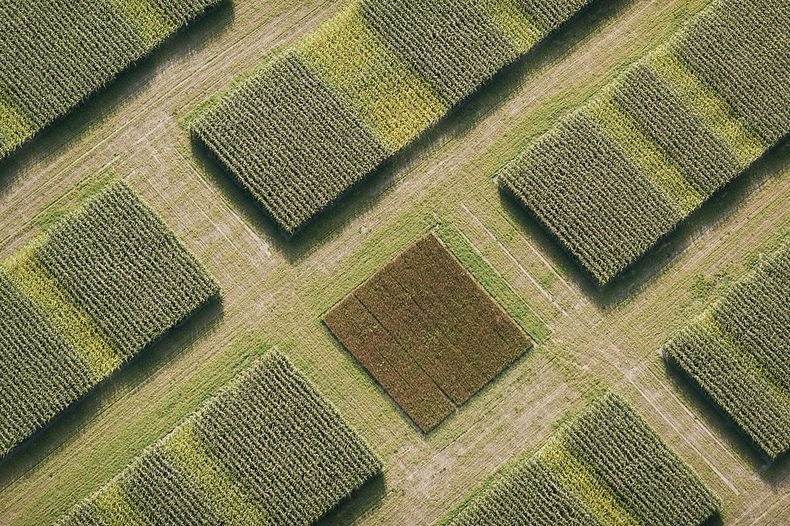 Aerial Digital cameras of Cameron Davidson