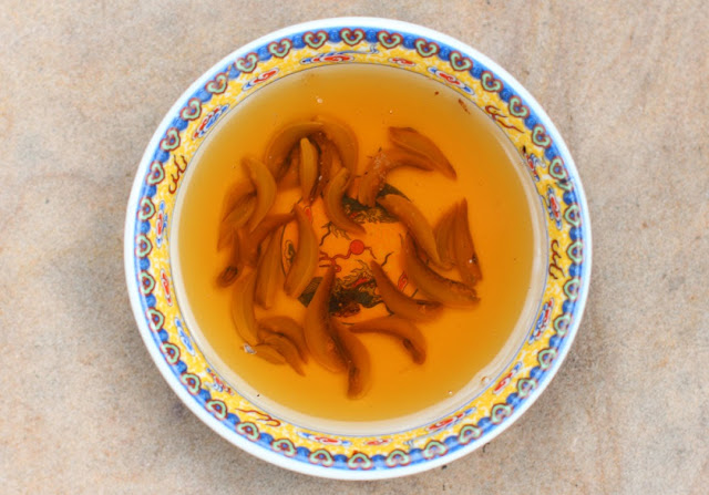 66 Square Feet (Plus): Beer traps for slugs