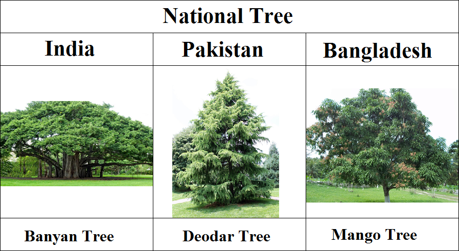 Mazher مظهر: National Symbols of India, Pakistan and Bangladesh