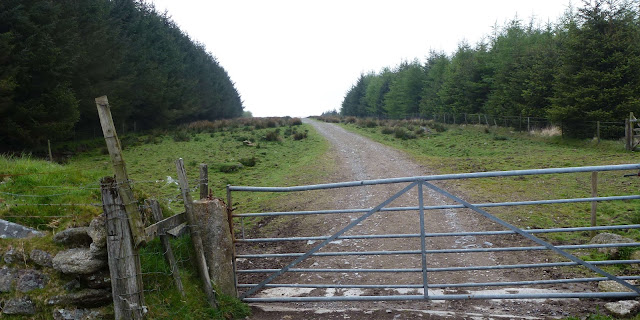 My Dartmoor Walks: Sunday 20th May Crow Tor