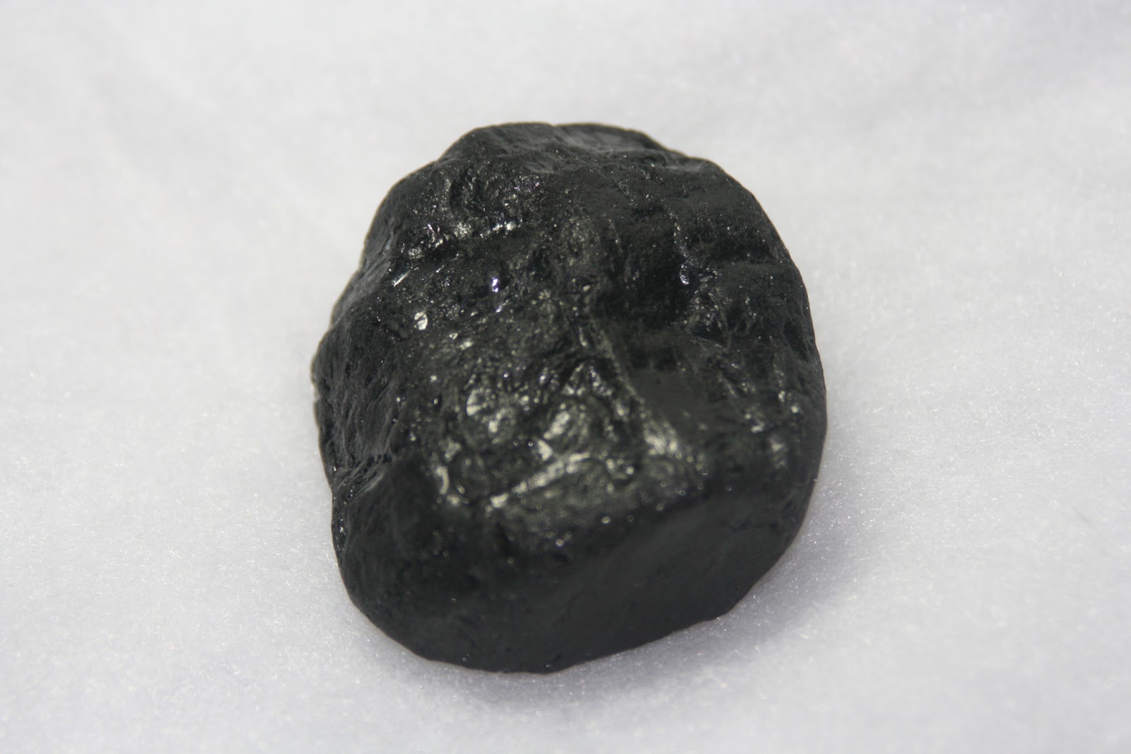 Outer/Inner Banks Paradise Photography: Lorri Lee Chambers: Coal or Jet ...