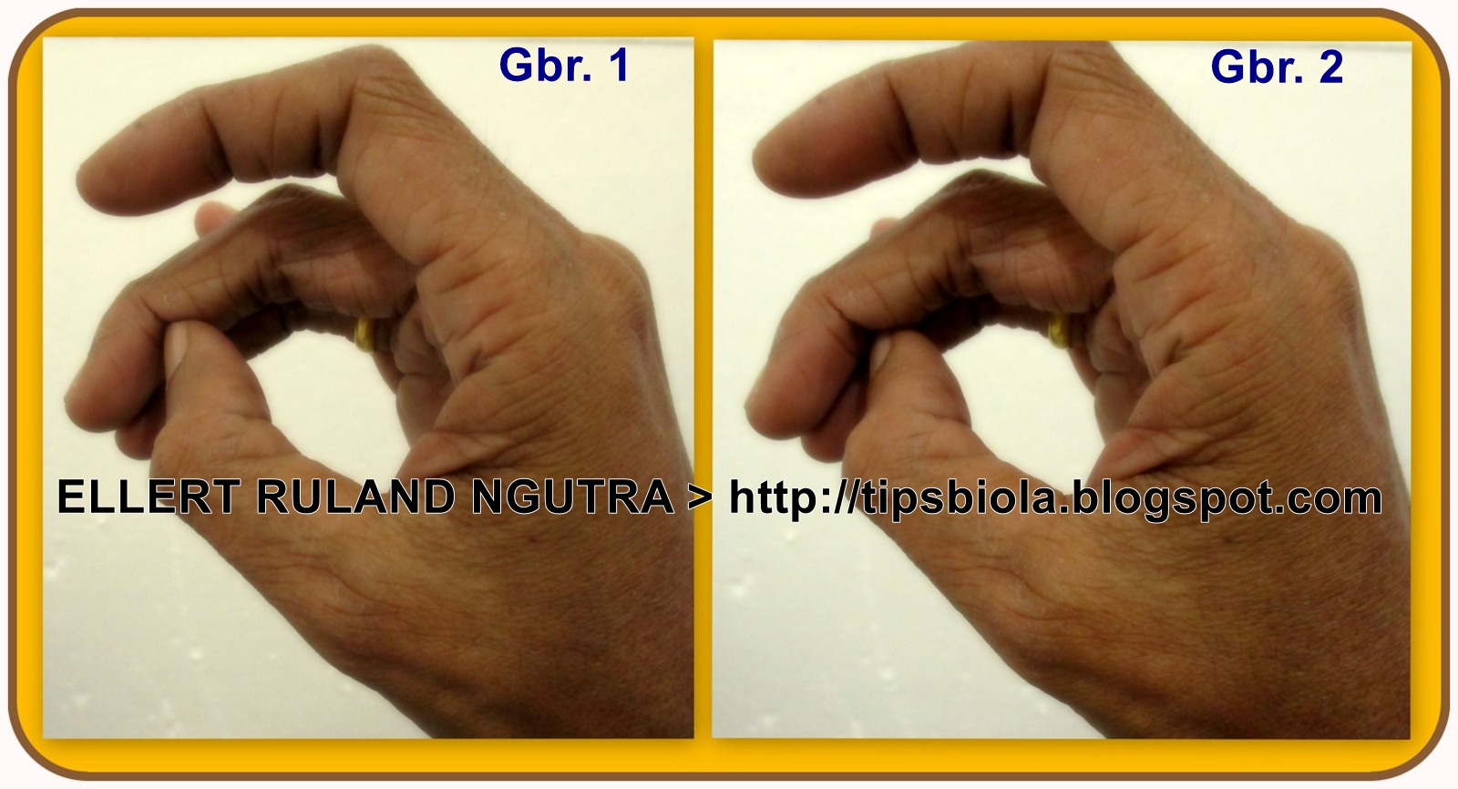 Tips Biola: June 2016