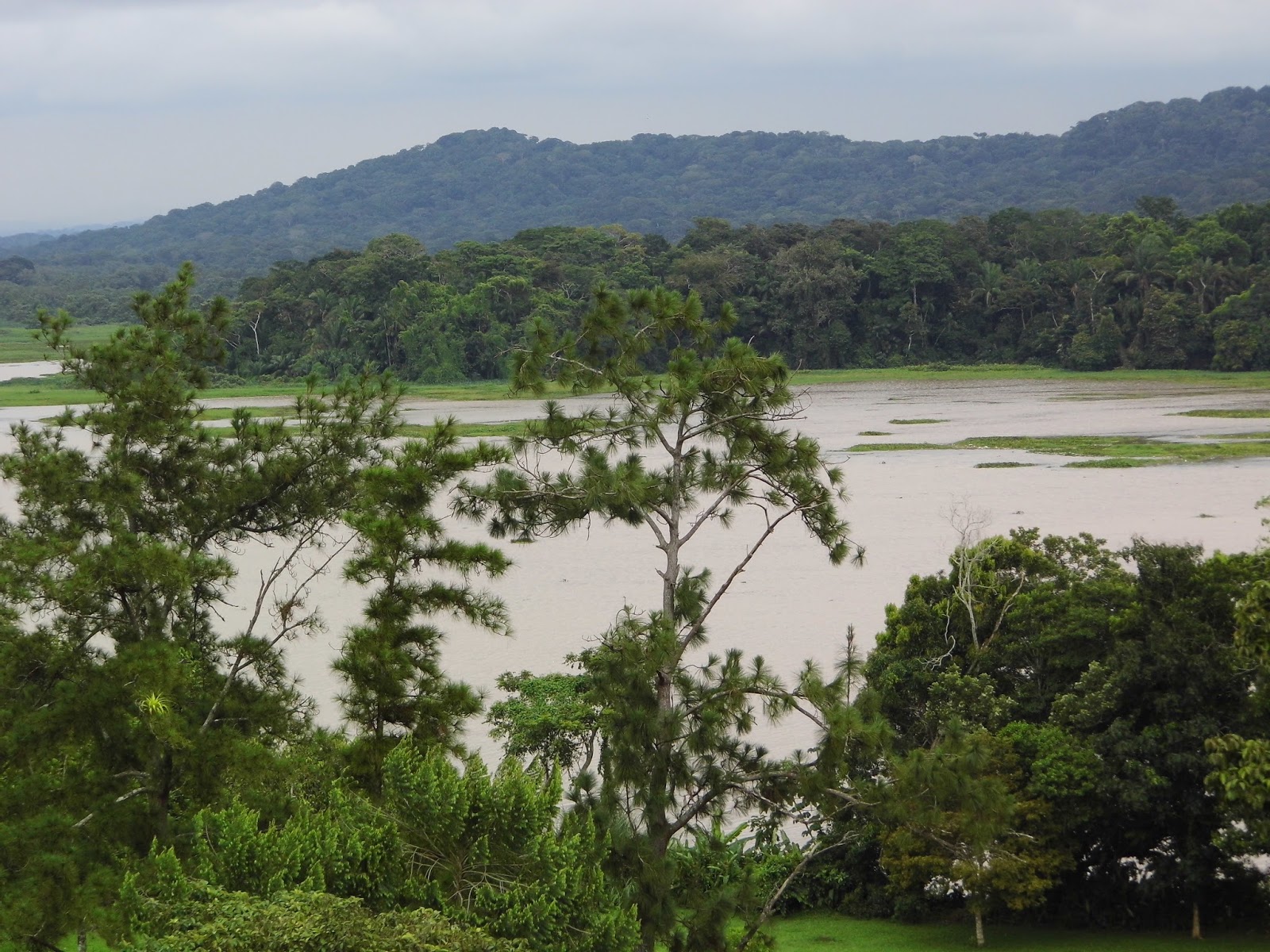 La République: IMÁGENES DE PANAMÁ