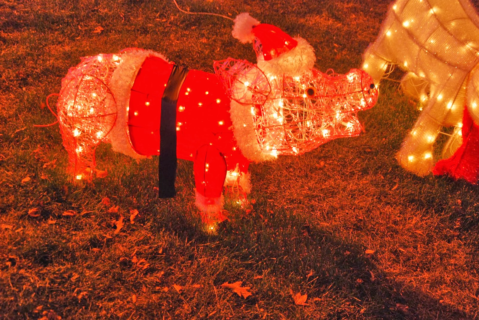 Busy Lee Family: 2013