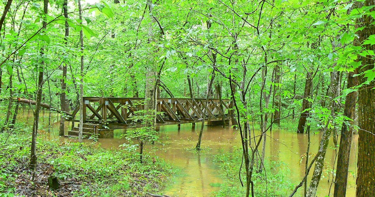 Shallow Ford Natural Area