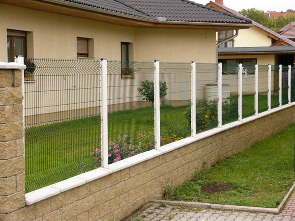 Home Garden Design: Indian Garden parapet wall