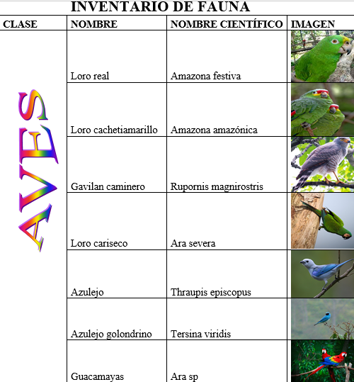 INVENTARIO DE ESPECIES DE FLORA Y FAUNA DE MI LOCALIDAD DE CONDAGUA