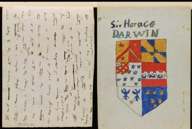 Darwin's "Origin of Species" Manuscript Used As Doodle Paper By His ...