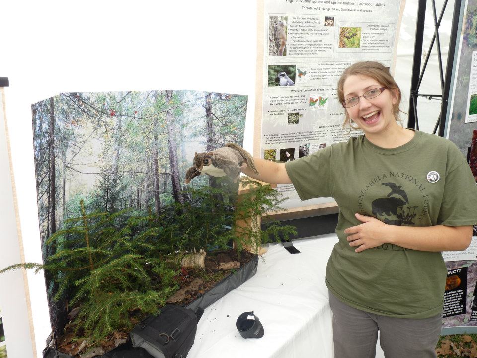 Northeast Ecological Services: Bringing nature inside four walls