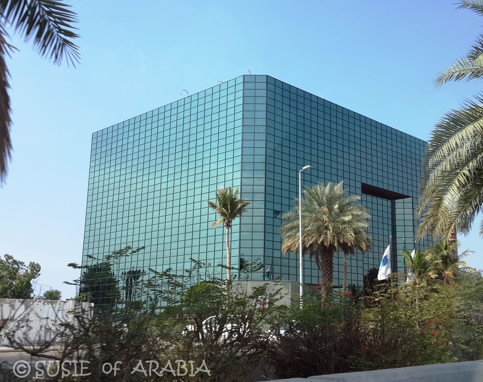 Jeddah Daily Photo: Jeddah - Blue Glass Buildings