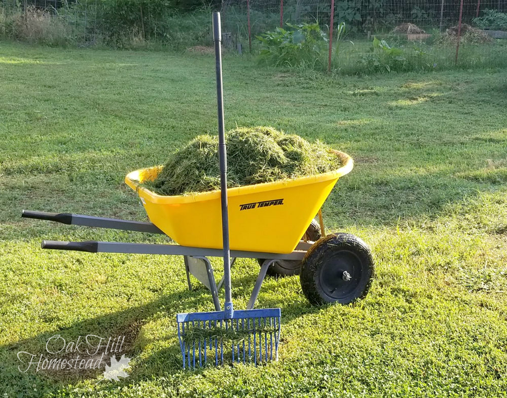 How to Start a Compost Pile in Your Backyard - Oak Hill Homestead