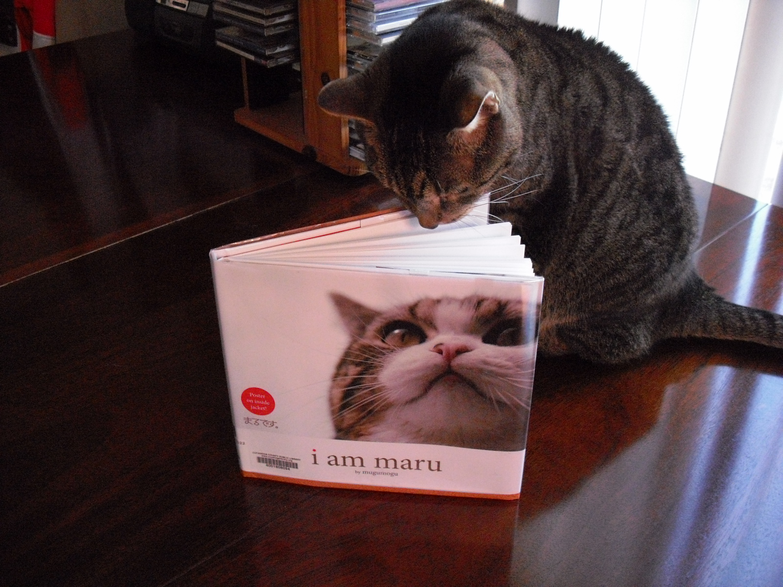 Grab A Book From Our Stack: "I Am Maru" by Mugumogu