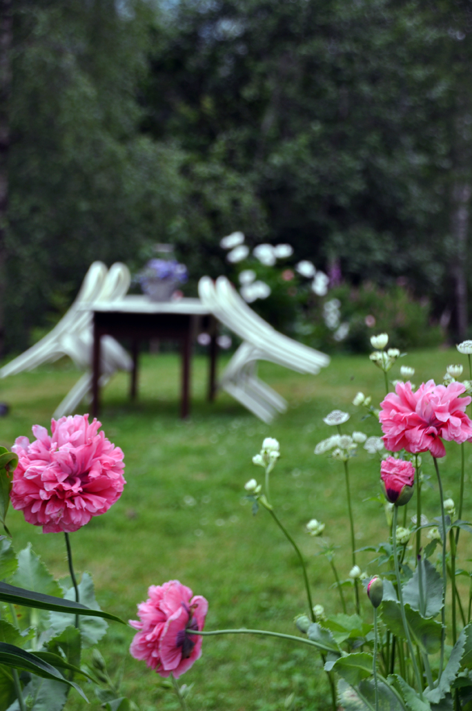 Bratte bakka og grøne lier: The X-Files...