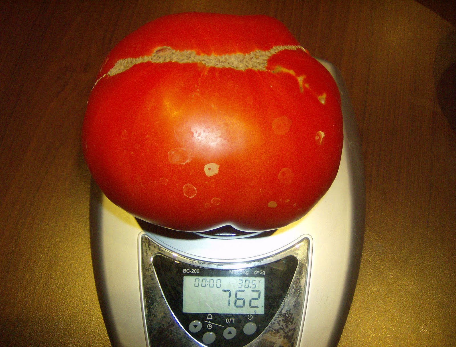 El huerto del Lopez: UNOS TOMATES EXCEPCIONALES