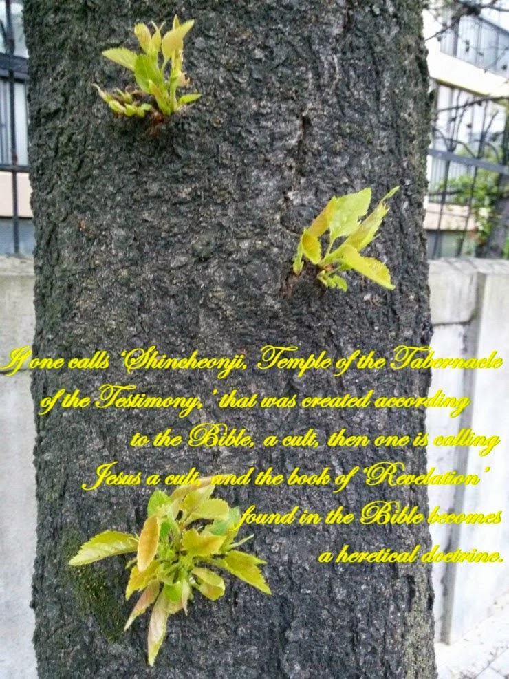 Shincheonji, Eternal Gospel: Shinchonji TV: Shinchonji Church of Jesus