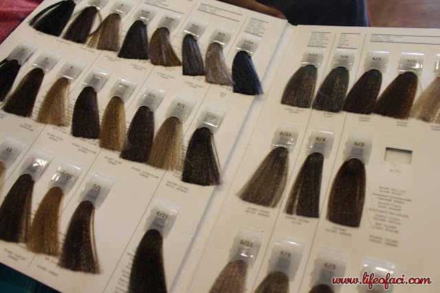 ELGON, Professional Hair Color From Milan Now in Manila + Fabulash from ...