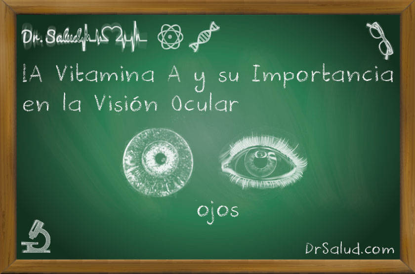 La Vitamina A y su Importancia para la Visión Ocular - Doctor Salud