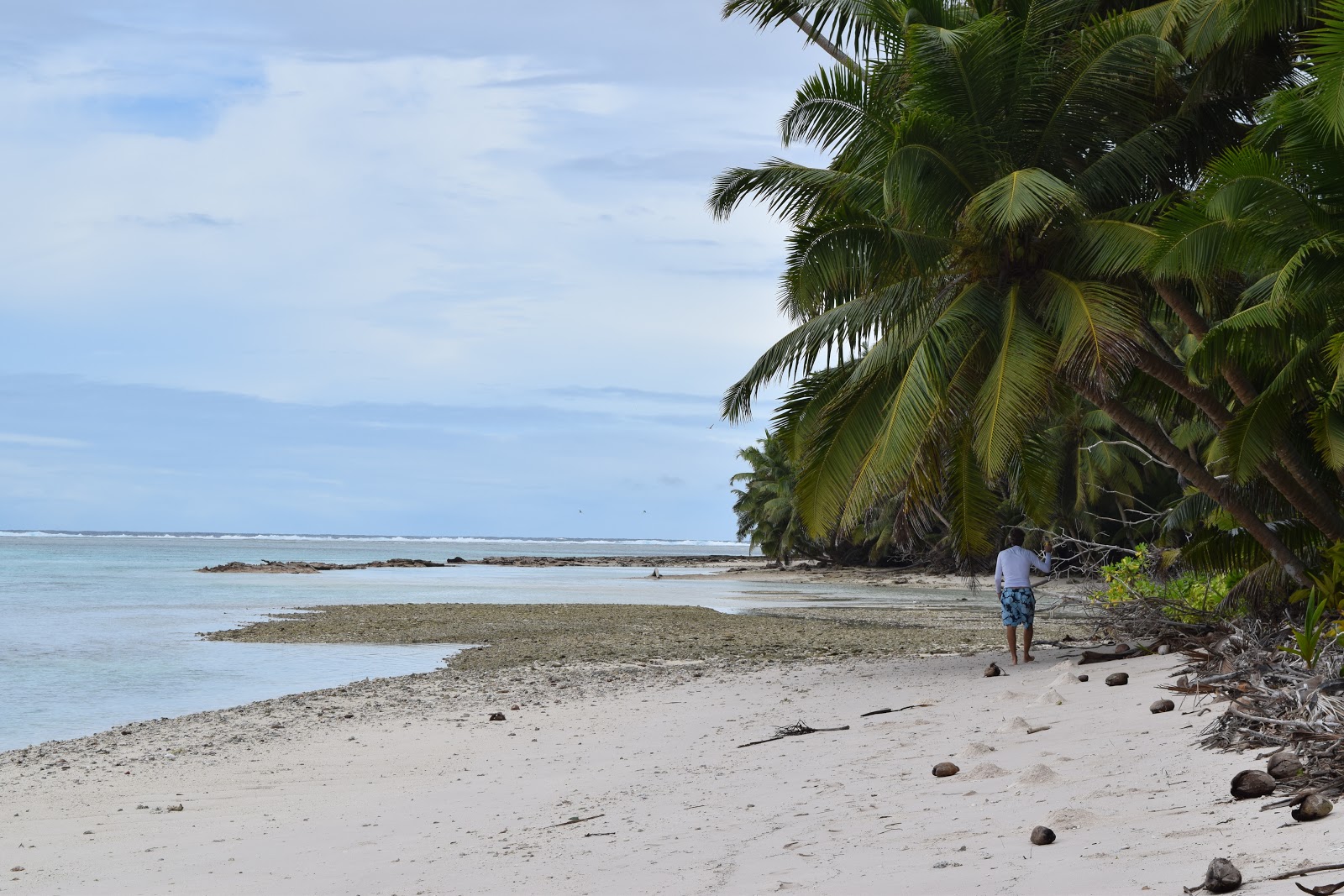 SV Cool Runnings: Chagos in Pictures: Life in the Anchorage