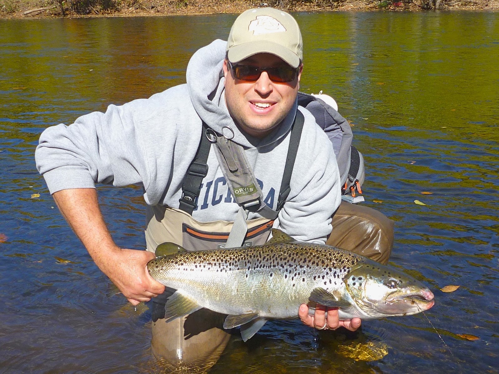Atlantic Salmon Flies: Connecticut Broodstock Atlantic Salmon Season ...