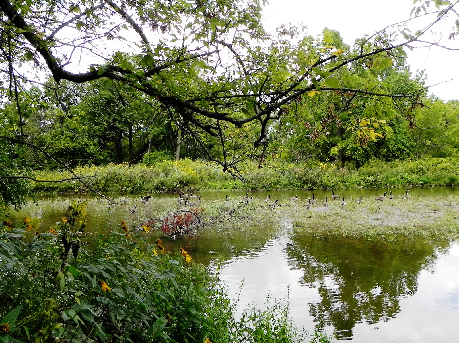 Erin Insight: Ecology park provides environmental education