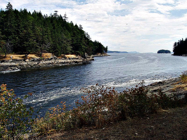 Everything Nanaimo: DODD NARROWS