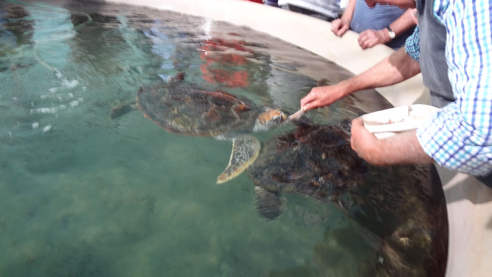 Cob and Oma: 25th July 2012 – Port Hedland.