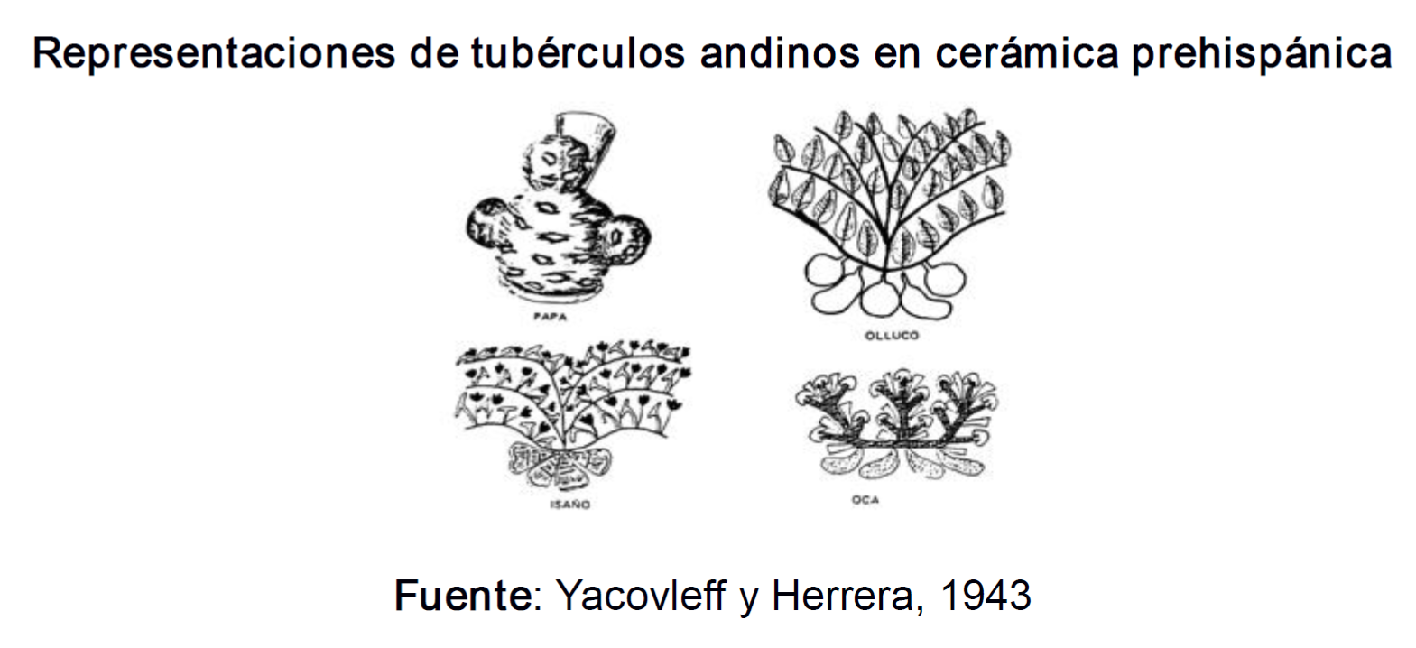 Mashua y el Biocomercio: junio 2016