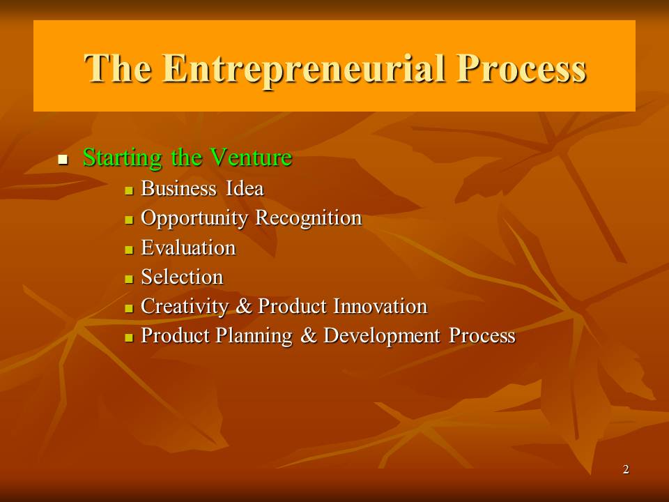 E- Solution: THE ENTREPRENEURIAL PROCESS