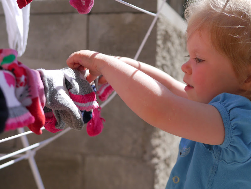 Seven Quick Takes Friday - Backwoods Mama