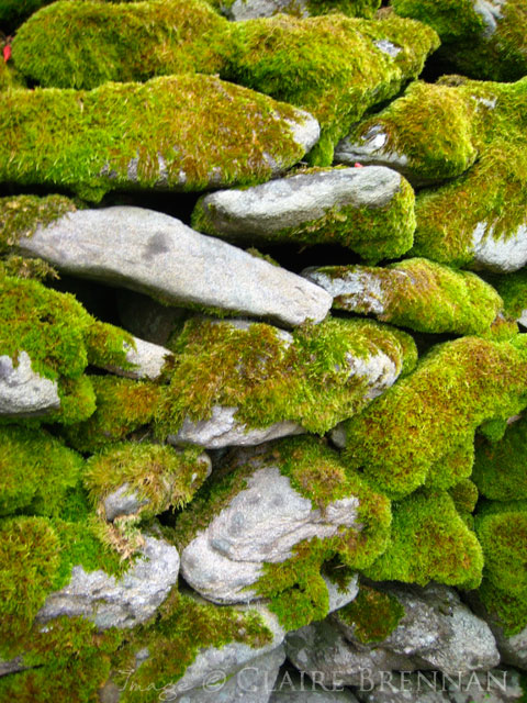 Waltzingmouse Makes...: August 2012