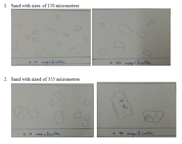 Technology Pharmaceutical I: Practical 1 - Particle Size and Shape ...