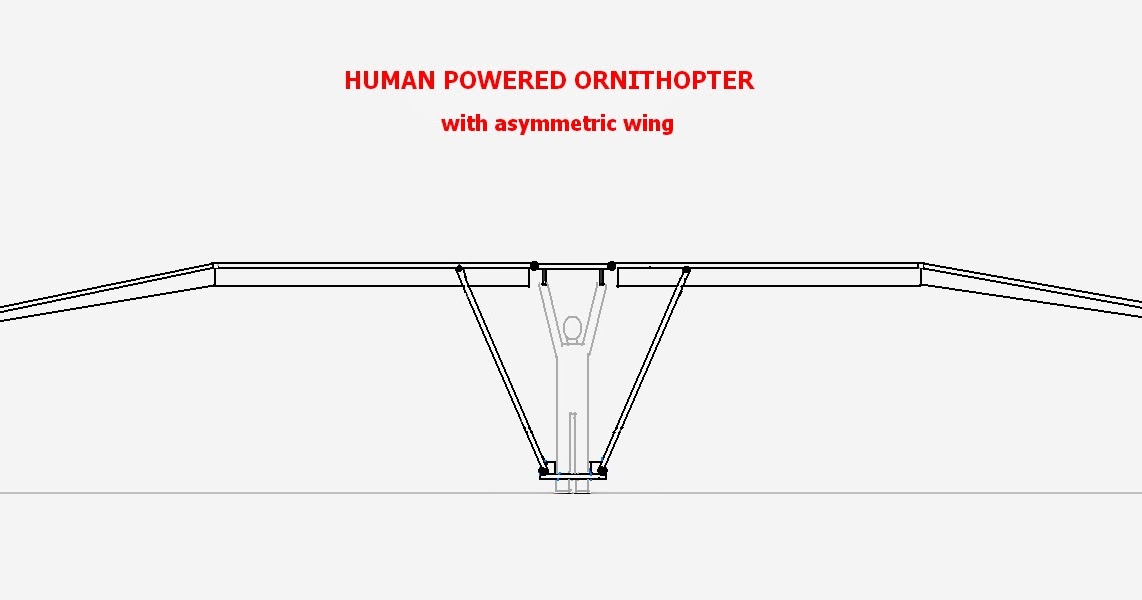 Flapping Wing: HUMAN POWERED ORNITHOPTER