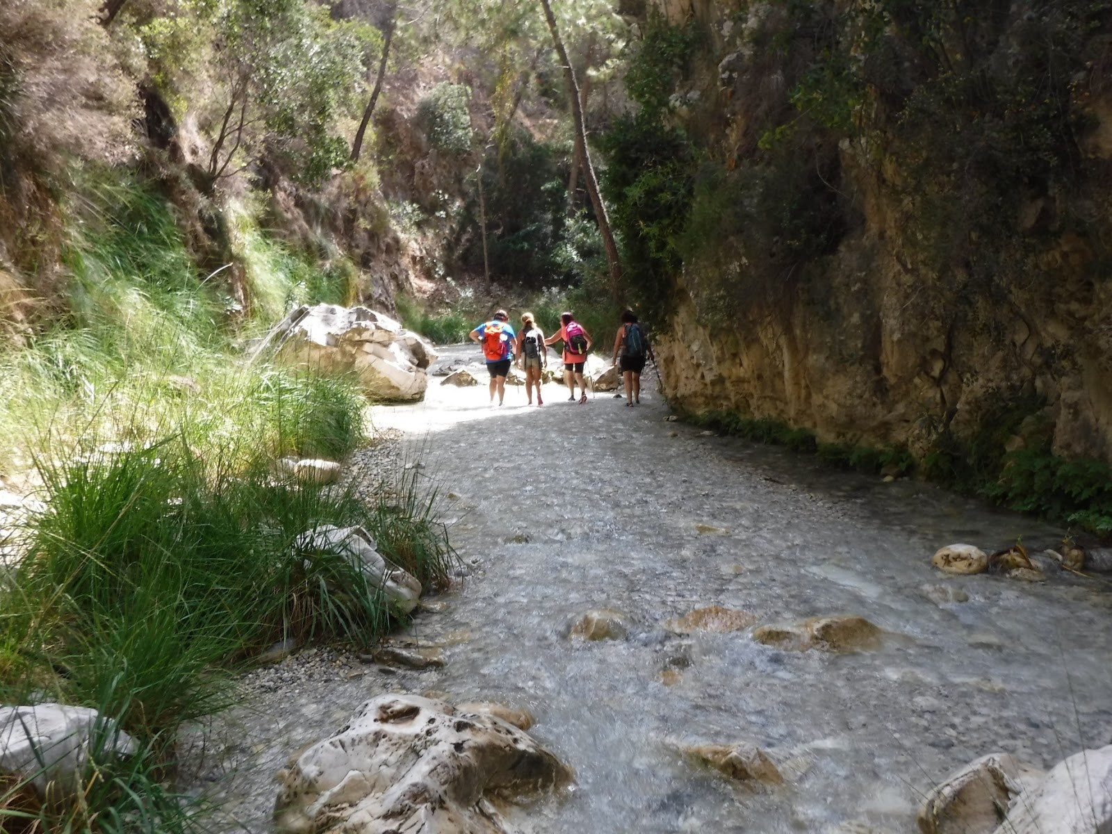 Senderismo Carlos y Petra: SENDERO RIO CHILLAR NERJA