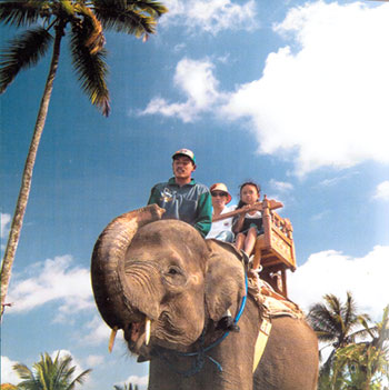 DESA TARO | BALI "THE ISLAND OF PARADISE"