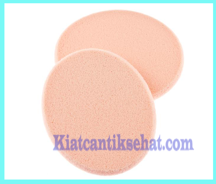 Jenis - Jenis Spons Dan Fungsinya ~ Info seputar cantik sehat luar dan ...