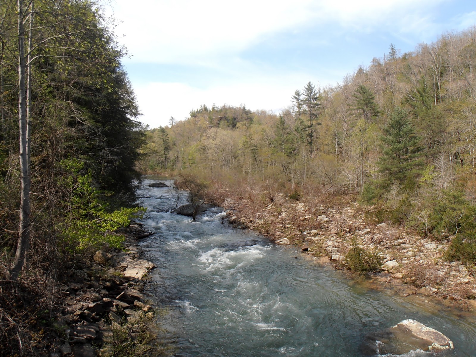American Travel Journal: Bridge Trail - Obed Wild & Scenic River