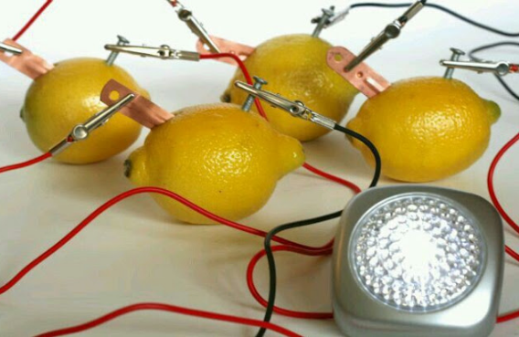 Awesome Electricity Science Project Experiments for Kids