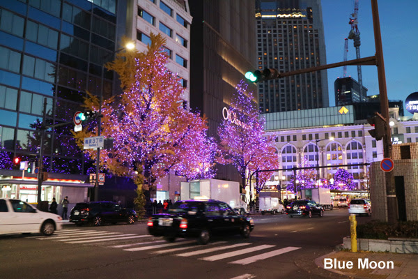 Namba Hikaritabi (Illumination) 2016 - Osaka, Japan
