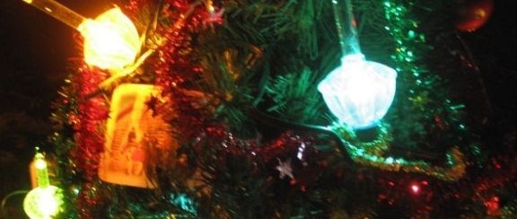 PLAINFIELD TODAY: Drake House tree lighting, plus gift-giving opportunities